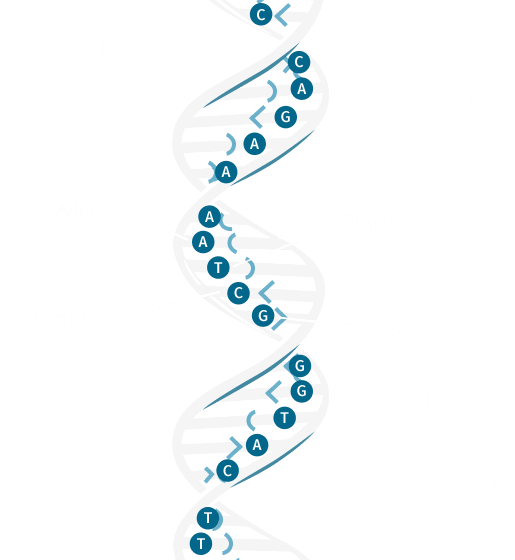 Was ist DNA? | AncestryDNA®