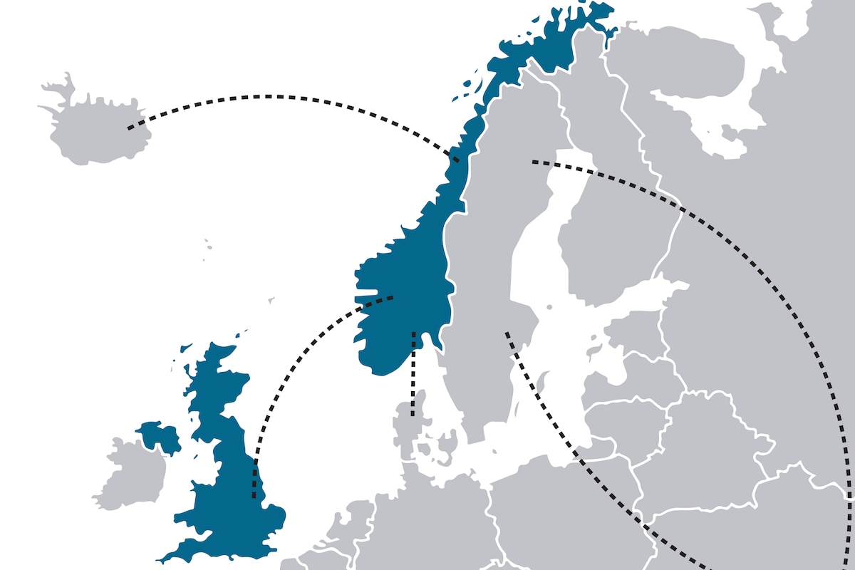 Are you part viking?