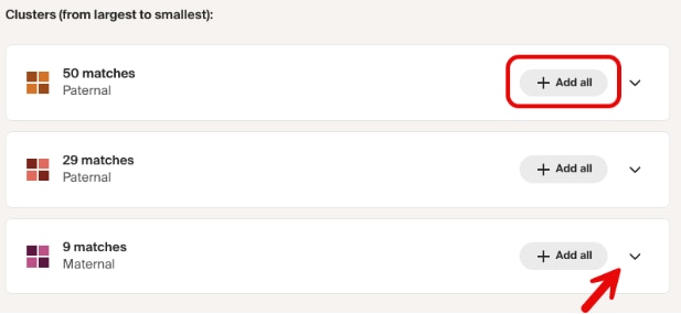 DNA Matches by Cluster