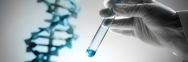 AncestryDNA® Learning Hub