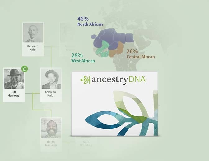 Discover Your Family History