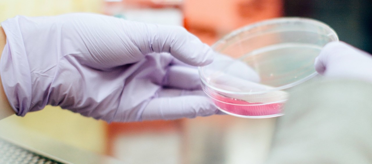 How does an AncestryDNA test work?