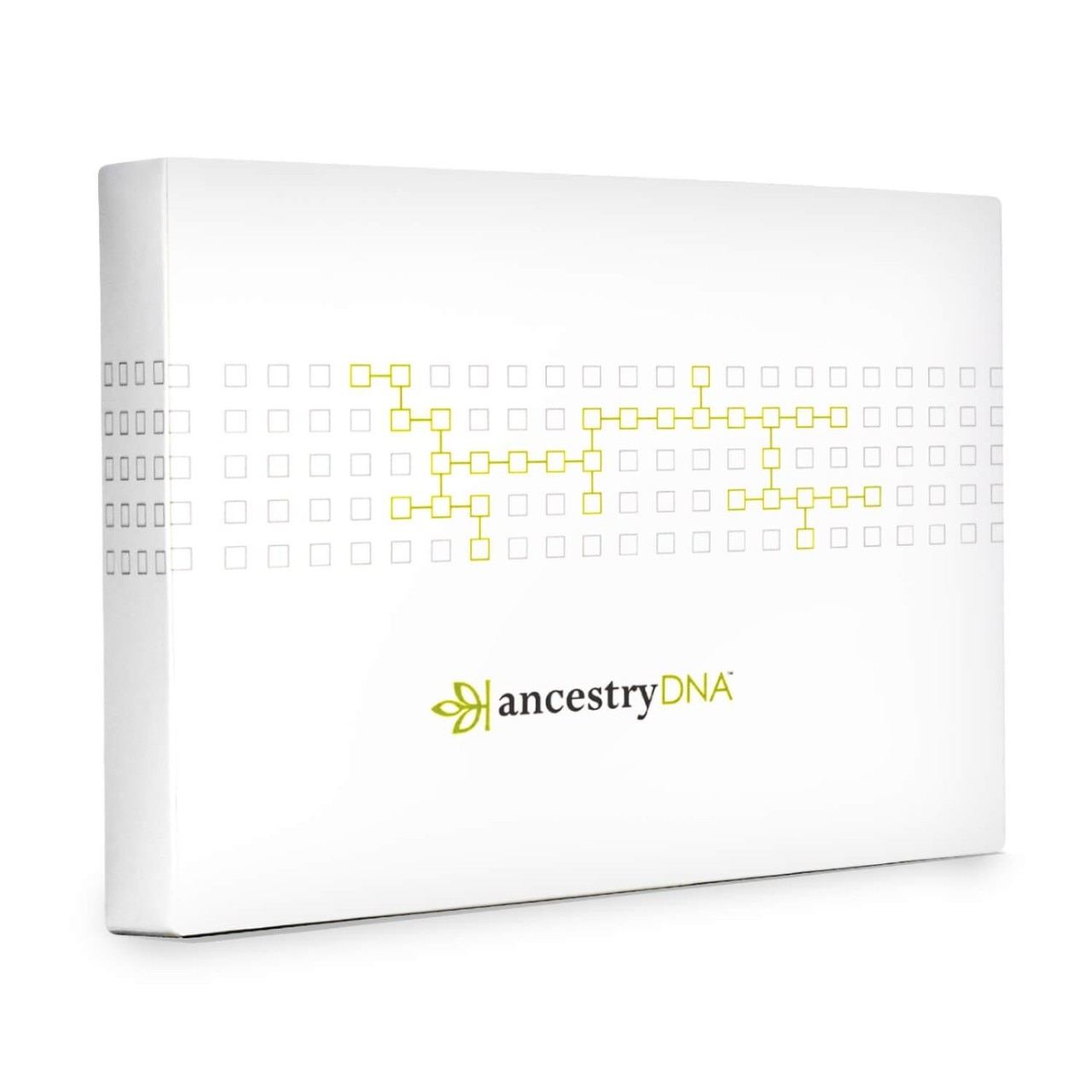 How Your DNA Can Reconstruct Your Great-Great-Grandfather’s Genetic Code