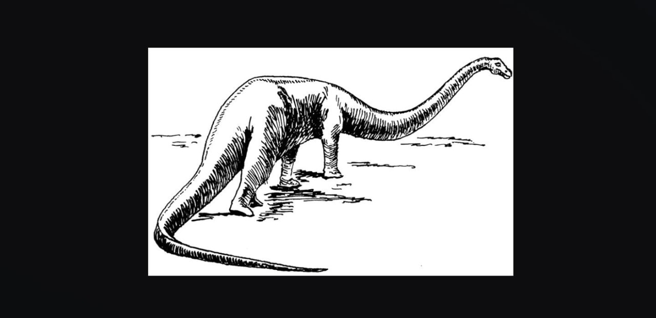 Is Your Rare Surname About to Go Extinct?