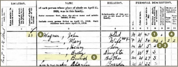 How to Grow Your Family Tree