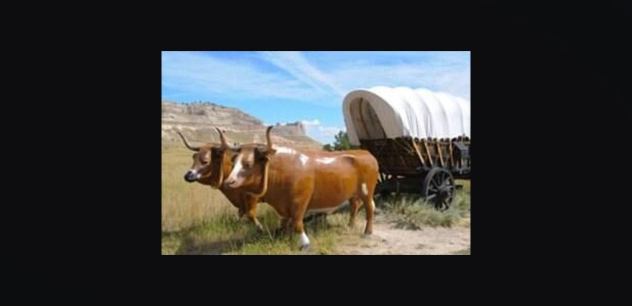 What It Was Like on the Real Oregon Trail?