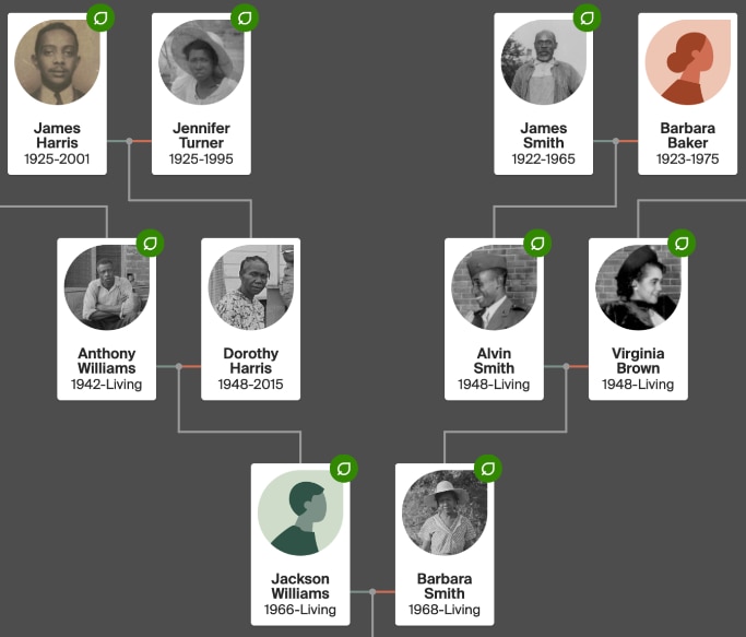 Ancestry® Announces New Visual Design Providing a More Modern Look and ...