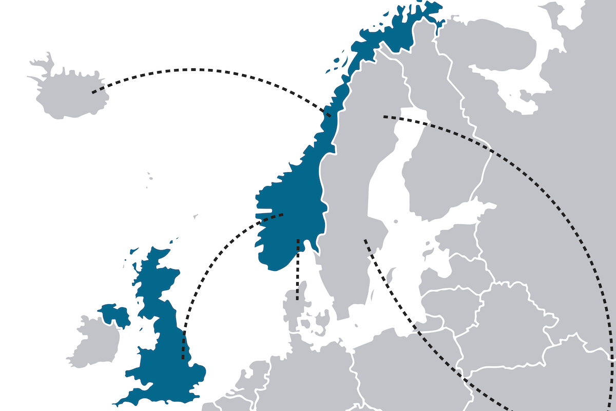 Are You Part Viking?