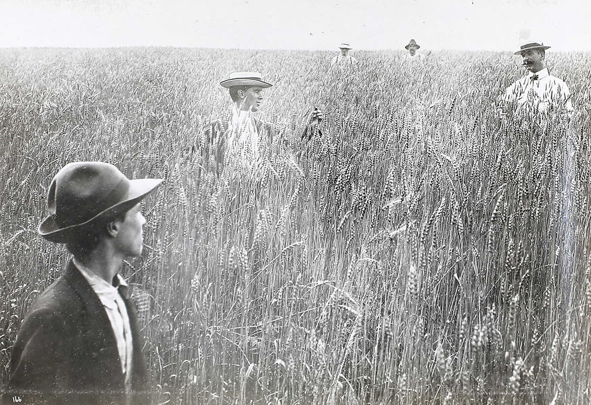 9 resources for researching your Canadian ancestors