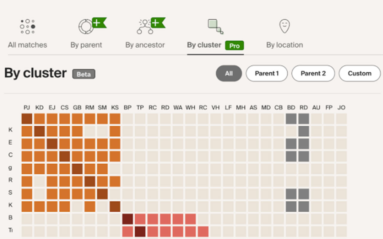 DNA Matches by Cluster