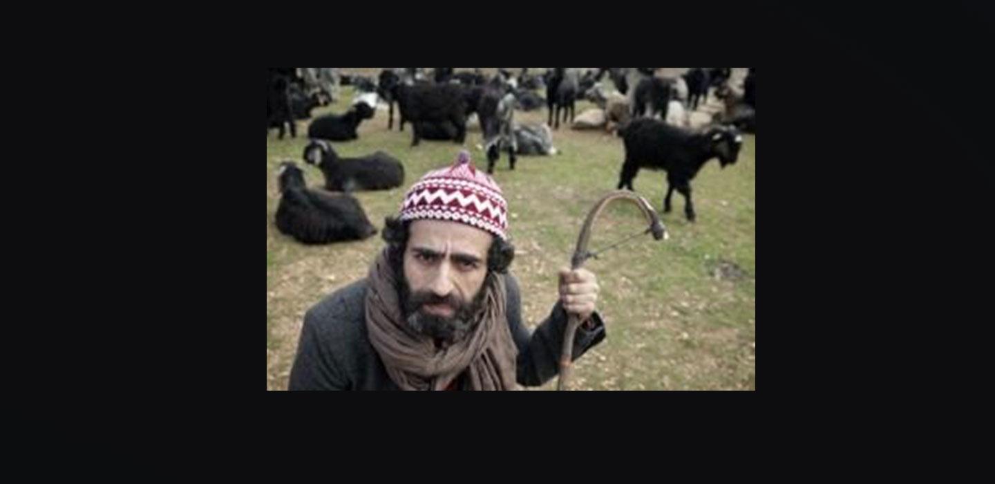 Leonardo the Goat Herder: What If Today’s Stars Made Their Livings the ...