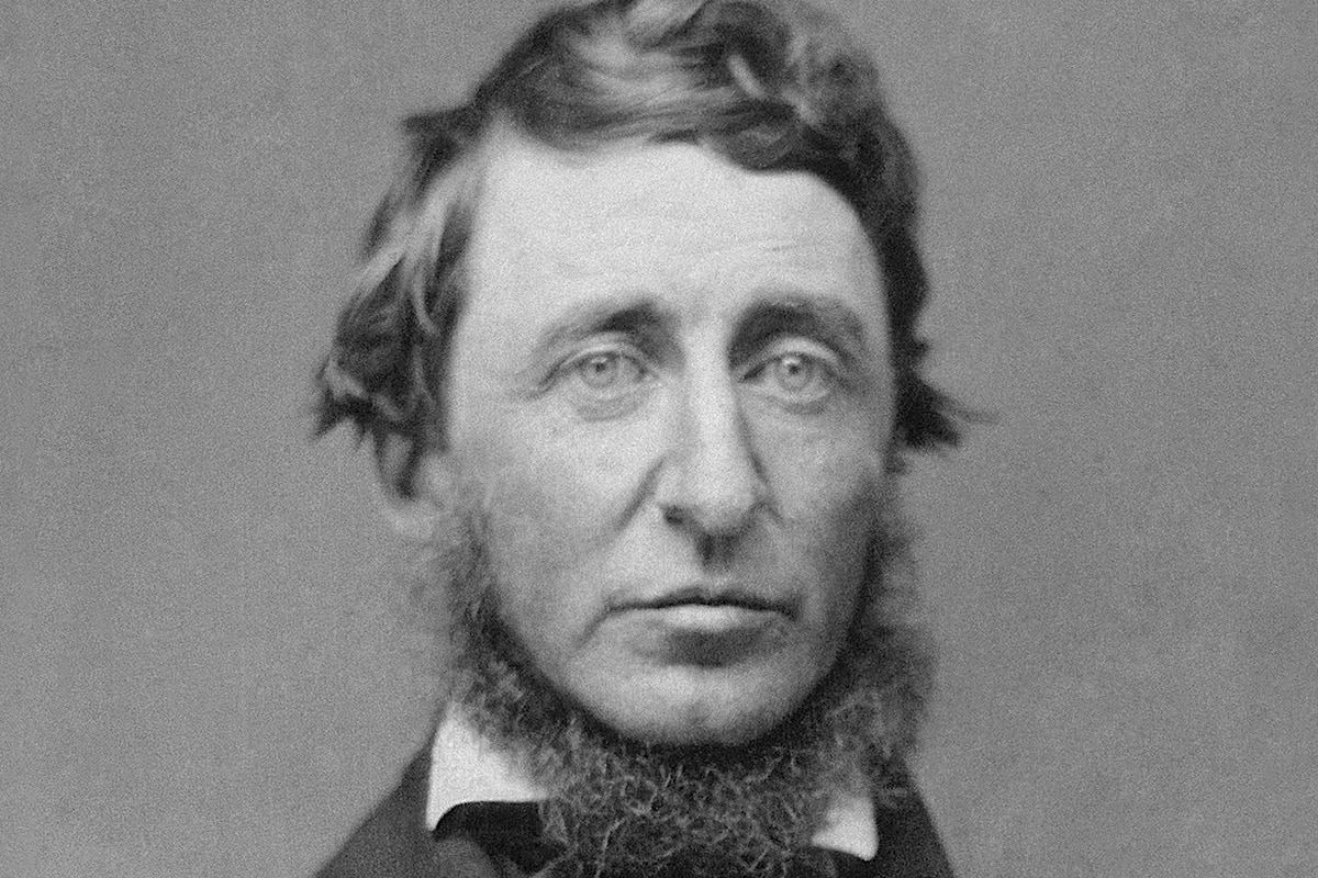 famous chinstrap beards