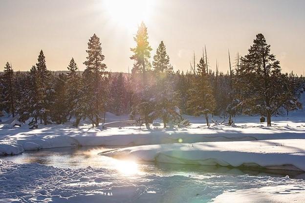 Winter Solstice: Discovering Ancestral Traditions as the Seasons Change