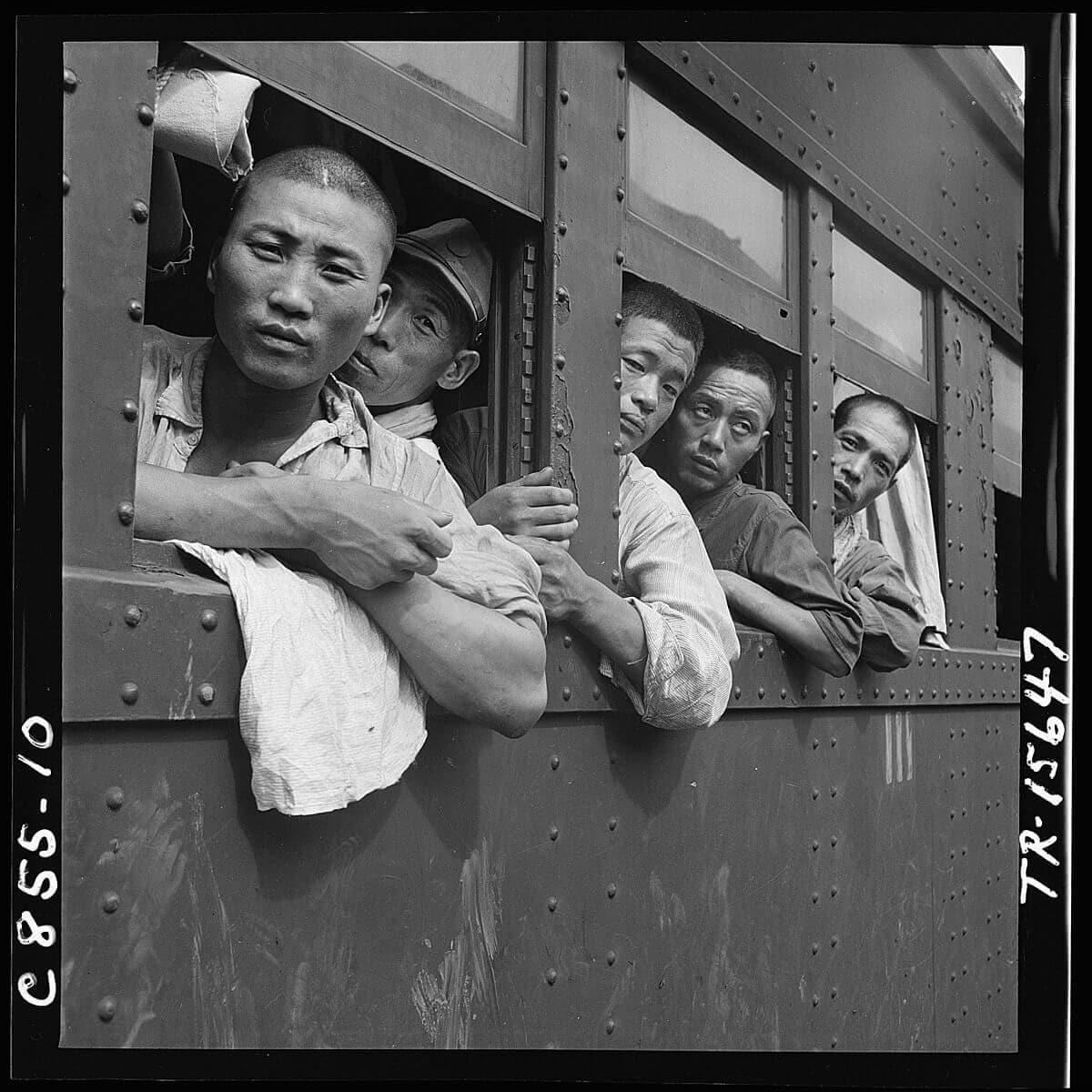 Brother Against Brother: The Akune Brothers in World War II