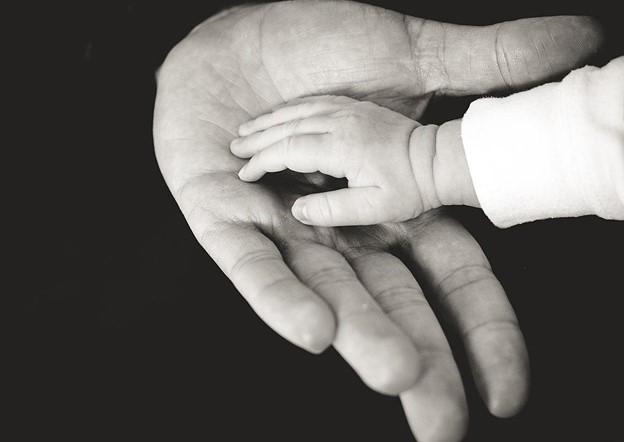 A Roadmap for Unraveling the Mysteries of Your Paternal Lineage