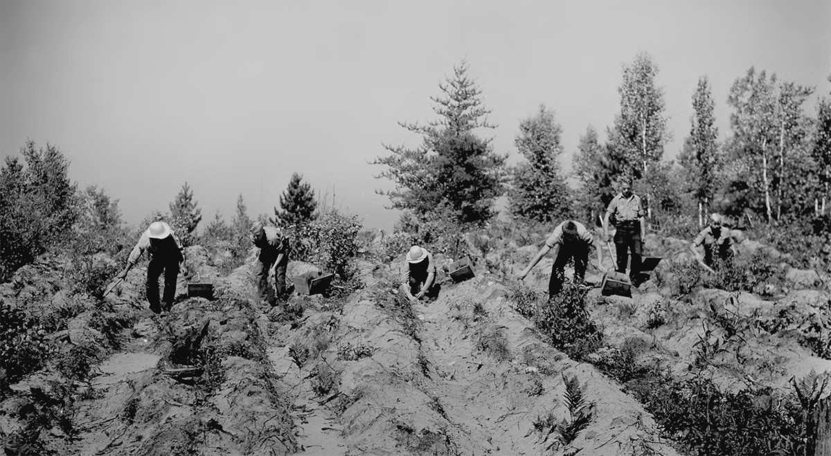 The Civilian Conservation Corps & Depression-Era Employment