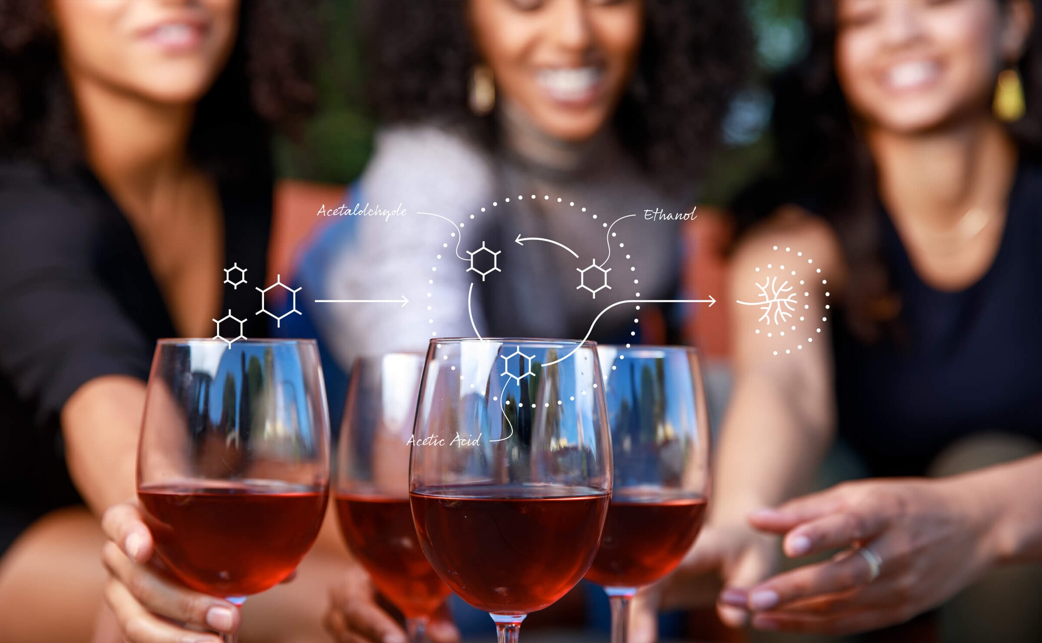 Alcohol Flush AncestryDNA Traits Learning Hub Alcohol Flush AncestryDNA Traits Learning Hub
