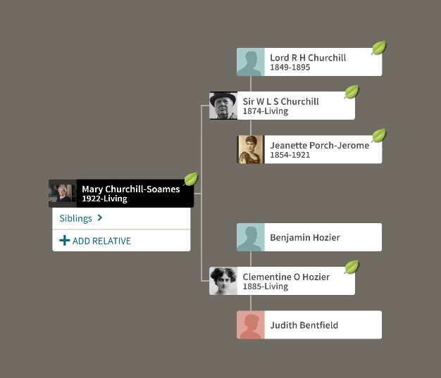 Privacy For Your Family Tree Privacy For Your Family Tree