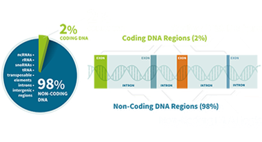 What is DNA made of? | AncestryDNA® Learning Hub