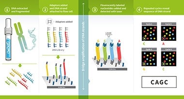 Cousin Chart: Cousins, Second Cousins, and More | AncestryDNA® Learning Hub