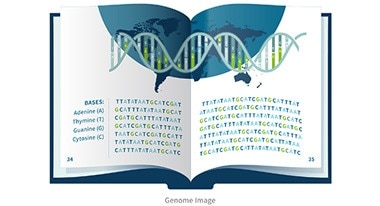 DNA Mutation | AncestryDNA® Learning Hub