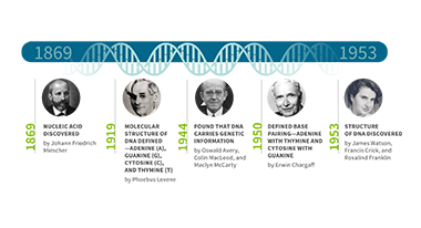 DNA Scientists Watson & Crick | AncestryDNA® Learning Hub