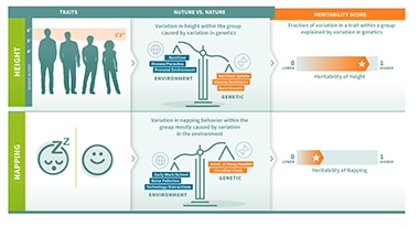 How Does AncestryDNA work? | AncestryDNA Learning Hub