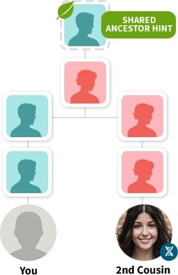 DNA and Family History Bundle