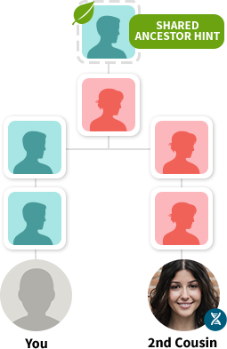 DNA and Family History Bundle